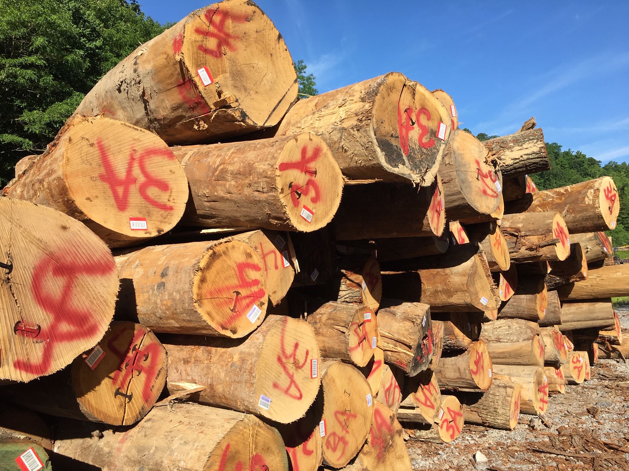 Lyme Mountaineer Timberlands - Lyme Timber